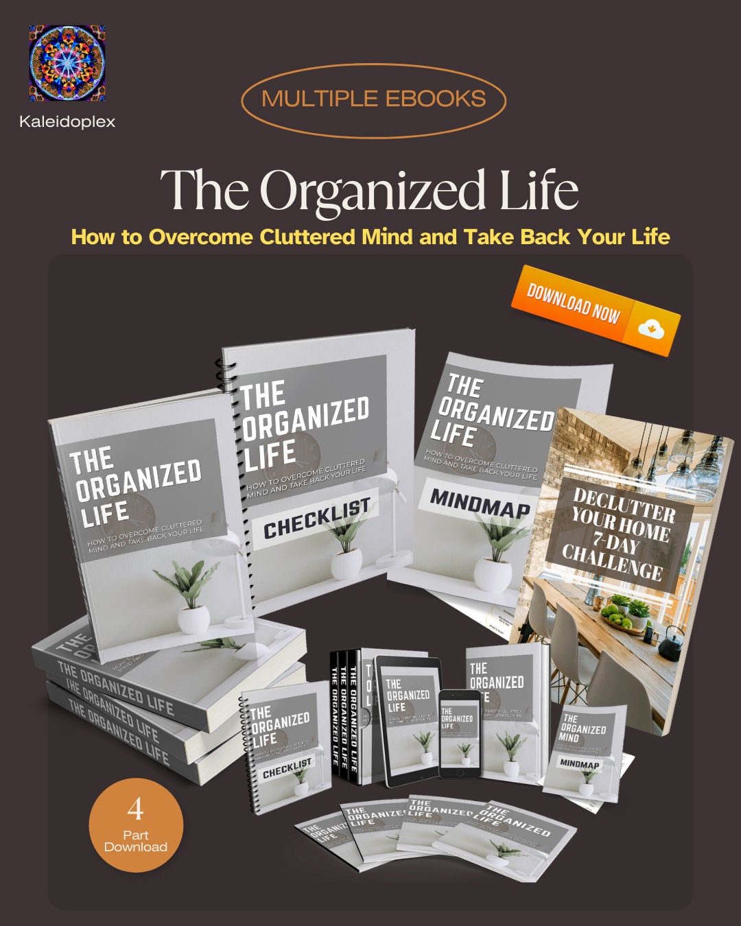 The Organized Life: Reclaim Your Mind and Space - Etsy