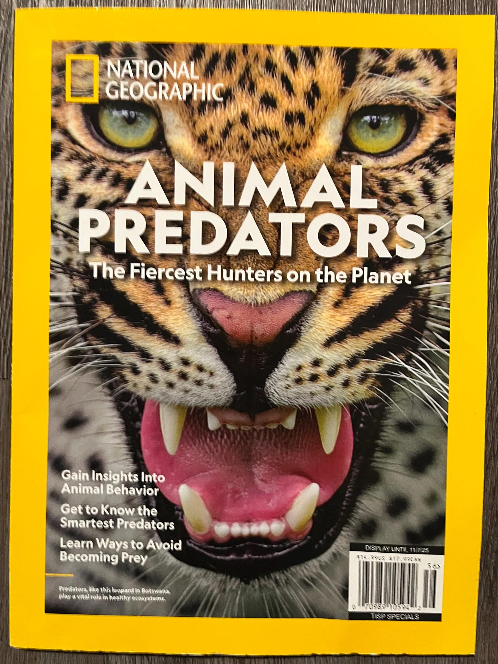 National Geographic Animal Predators Magazine - Etsy