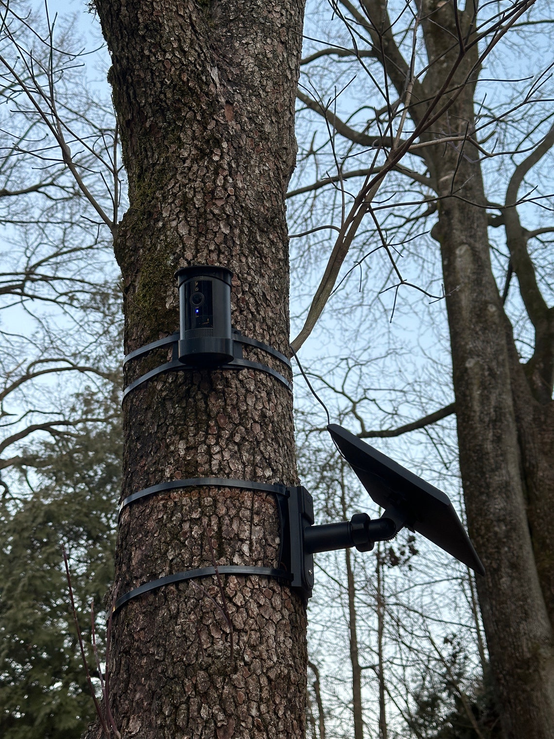 RING Stick up - Tree Mount - Etsy