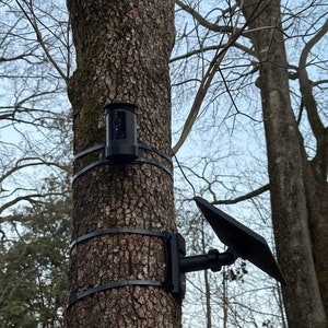 RING Stick up - Tree Mount - Etsy