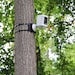 Tree Mounts for Smart Cameras - Etsy