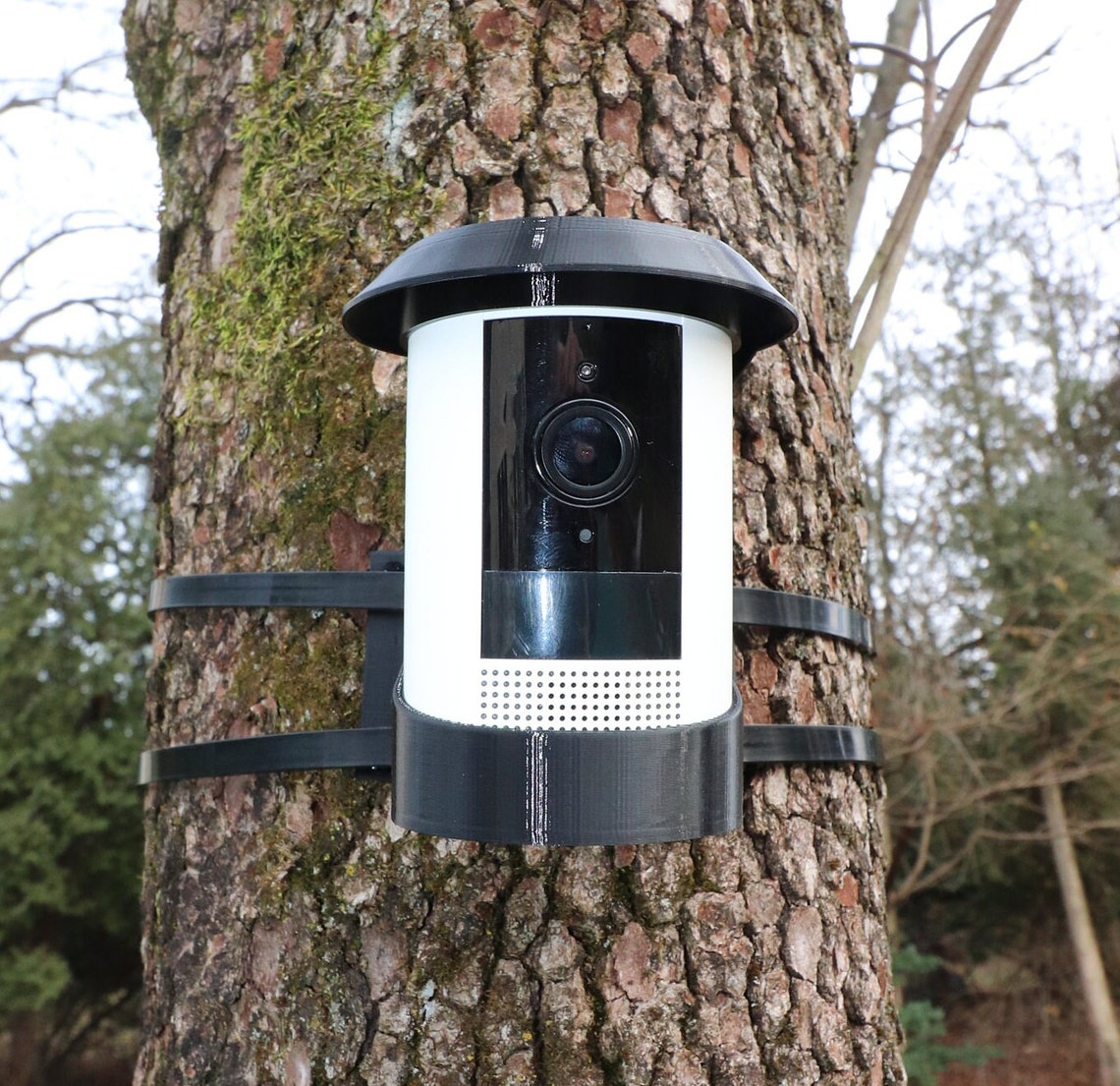 RING Stick up - Tree Mount - Etsy