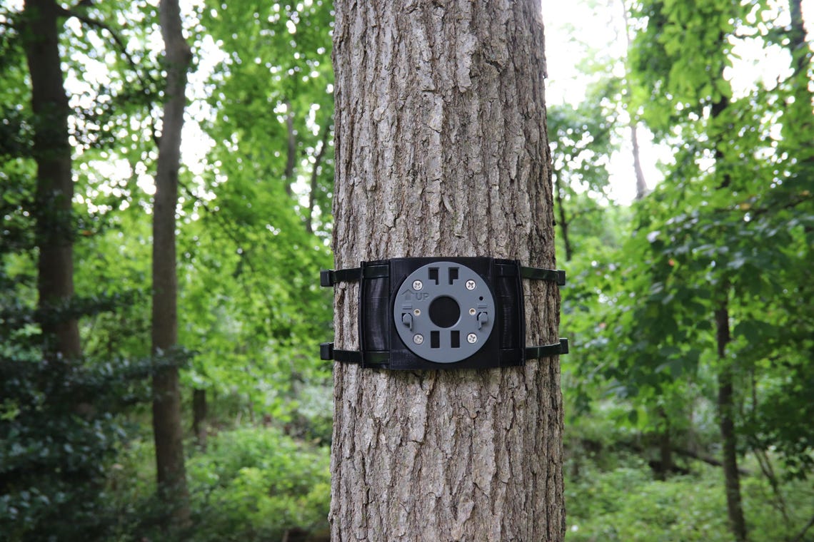 Tree Mounts for Smart Cameras - Etsy