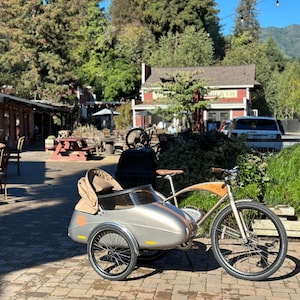 Made to Order Bicycle Sidecar - Etsy