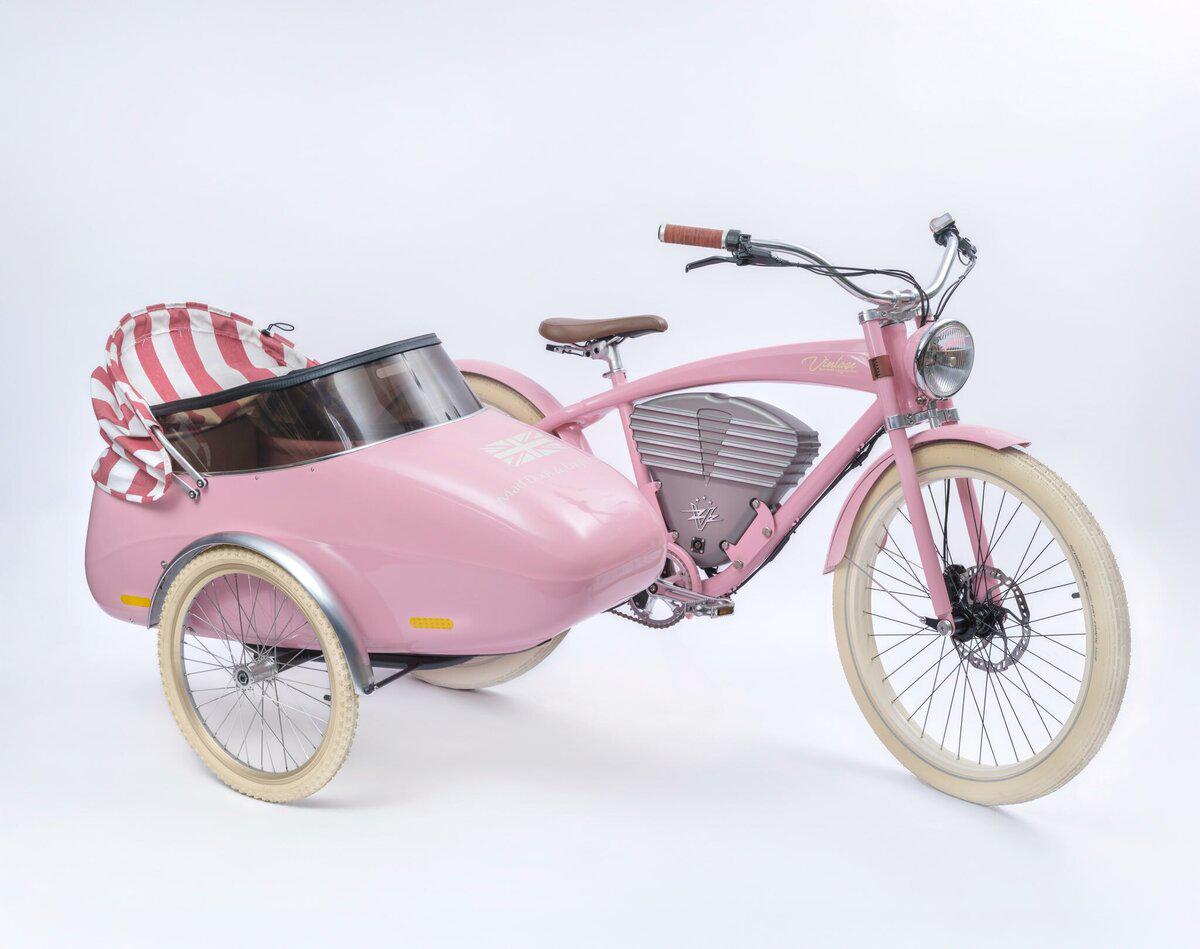 Made to Order Bicycle Sidecar - Etsy
