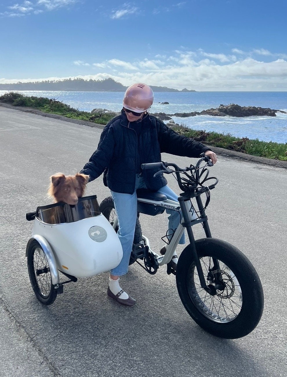 Bicycle Sidecar Mini - Etsy