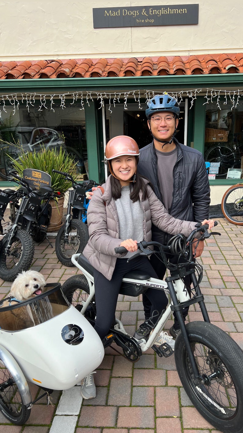 Bicycle Sidecar Mini - Etsy