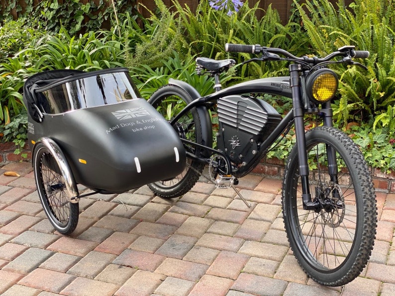 Made to Order Bicycle Sidecar - Etsy