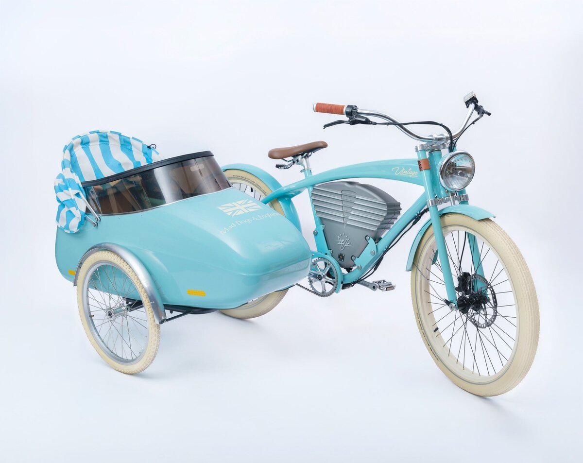 Made to Order Bicycle Sidecar - Etsy