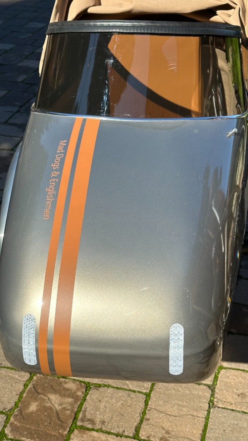 Made to Order Bicycle Sidecar - Etsy