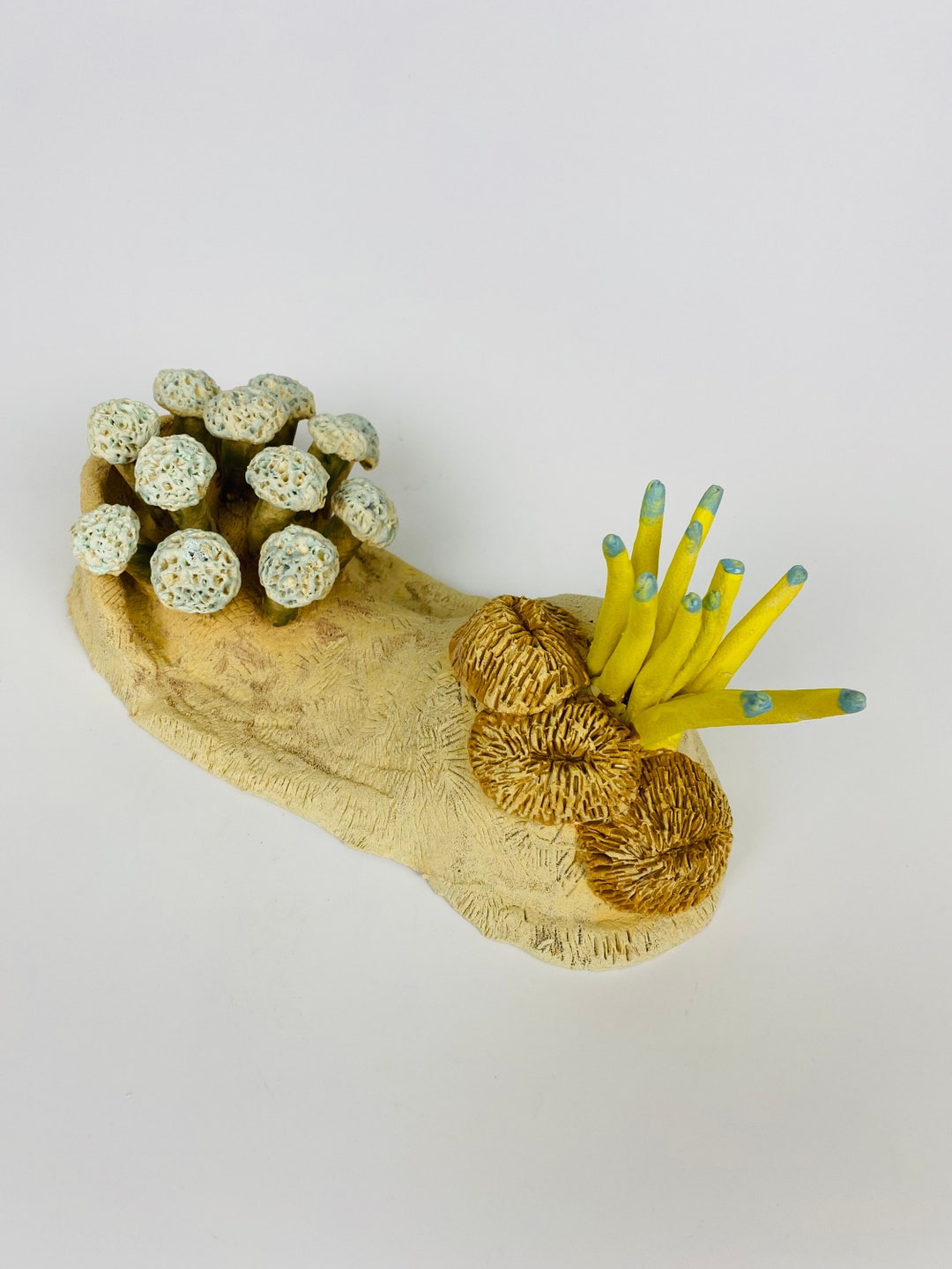 Handcrafted Ceramic Coral Reef Sculpture: Coastal Tabletop Decor - Etsy