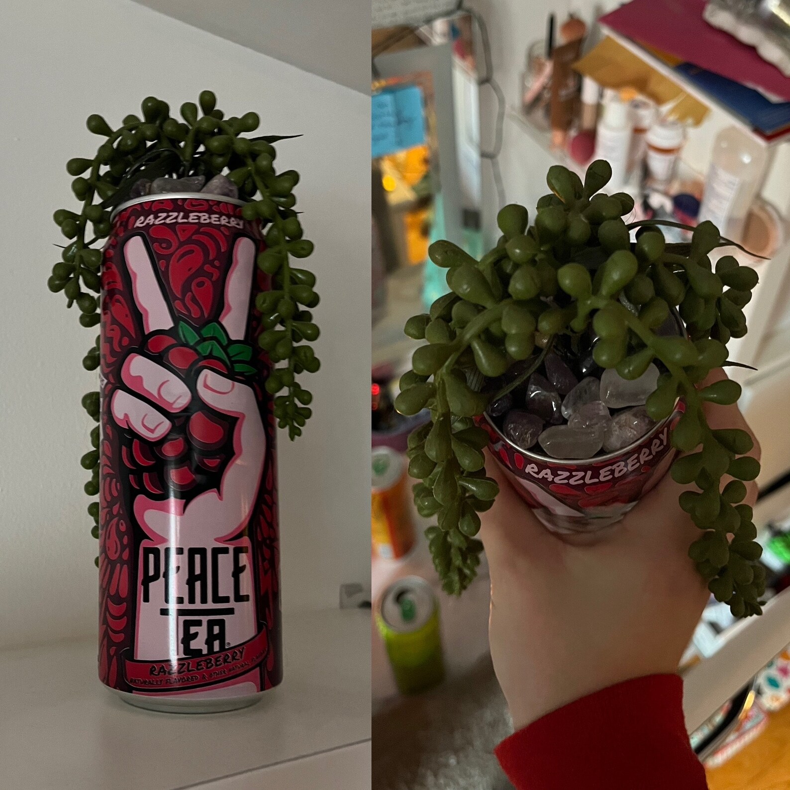 Handmade Peace Tea Cans With Faux Plants - Etsy