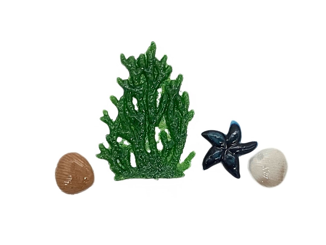 96 COE Fused Glass, Seaweed and Shells Fusing Pieces, Fused Starfish ...