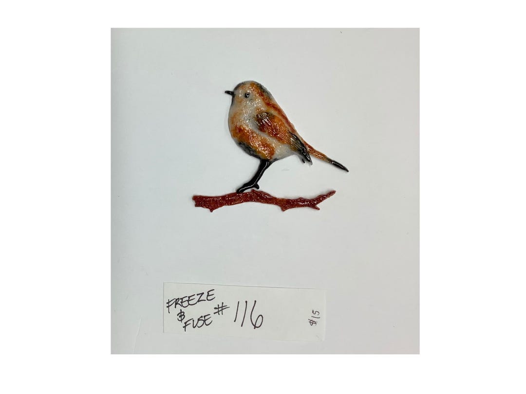 96 COE Fused Glass, Bird Fusing Piece, Fused Glass Bird Embellishments ...