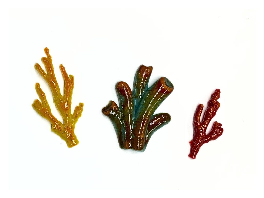 Colorful Coral and Shell, 96 COE Glass Embellishments, Freeze and Fuse ...