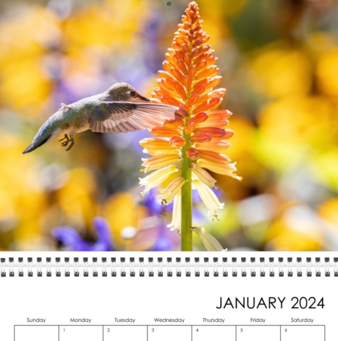 2024 Hummingbird Calendar - Etsy
