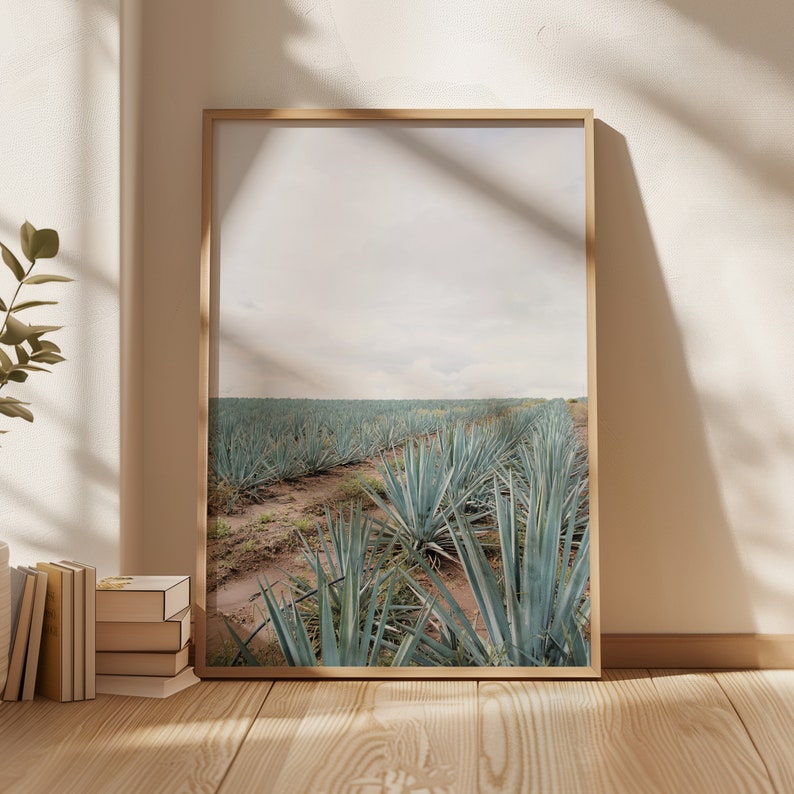 Agave Fields Wall Art, Blue Agave Plant, Southwest Agriculture, Mexico ...