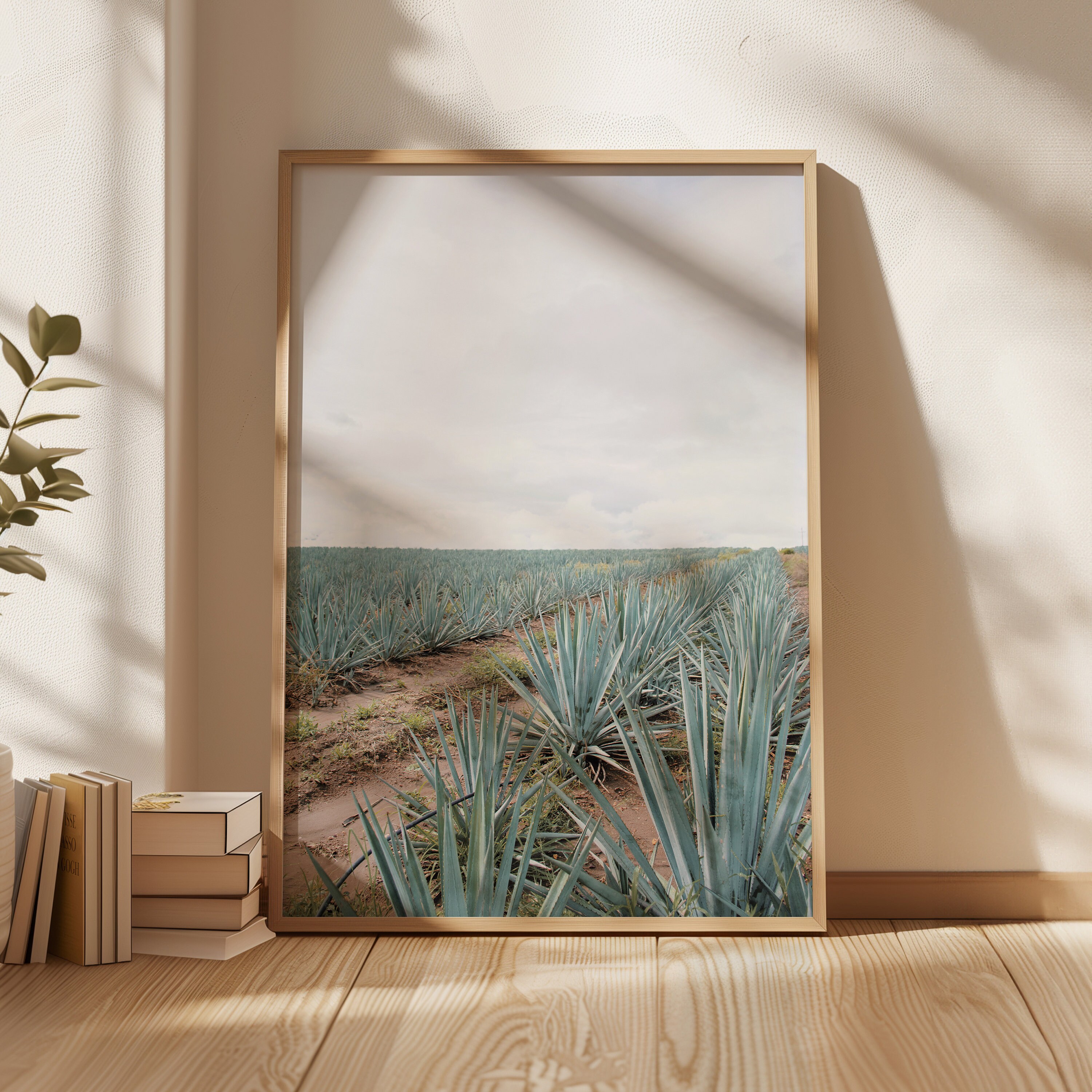 Agave Fields Wall Art, Blue Agave Plant, Southwest Agriculture, Mexico ...