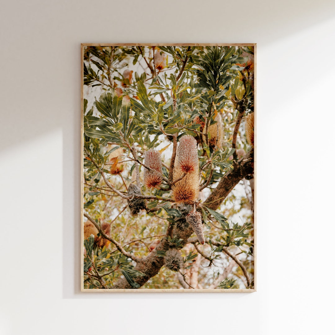 Italian Fruit Tree Poster, Warm Kitchen Decor, Italy Countryside Wall ...
