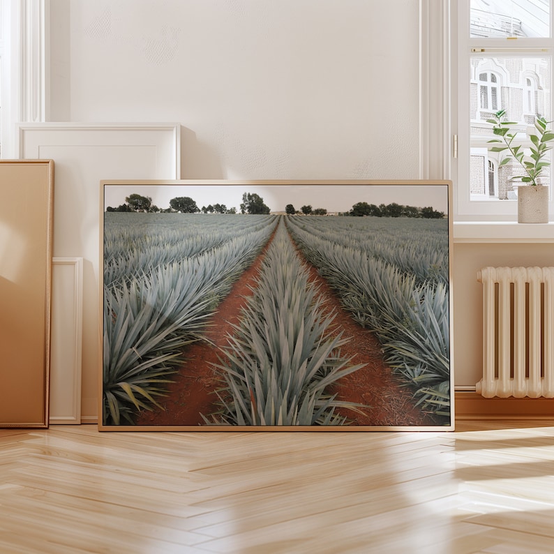 Agave Cactus Field Printable, Blue Agave Wall Art, Mexico Agave Farm ...