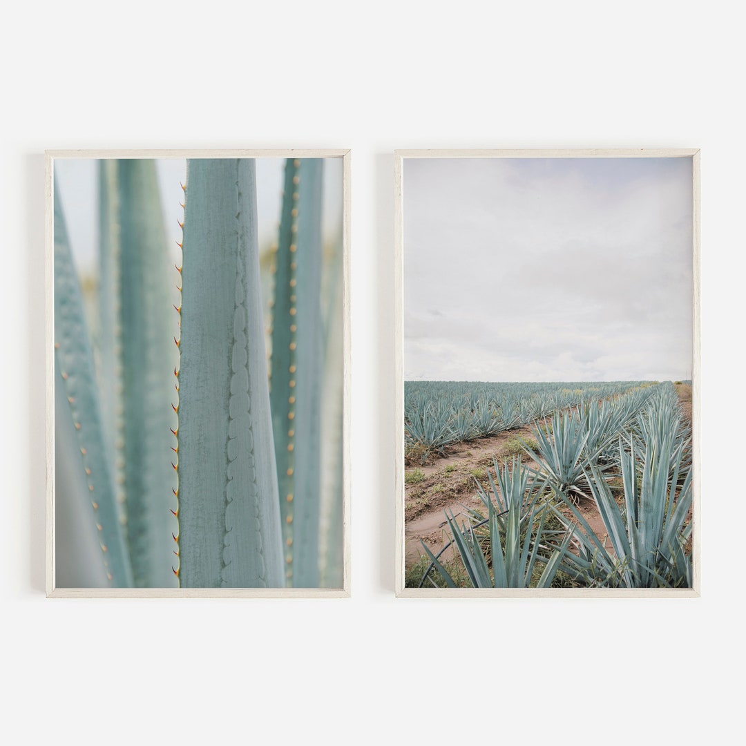 Agave Farm Print Set of 2, Mexico Agave Plant Posters, Blue Green Decor ...