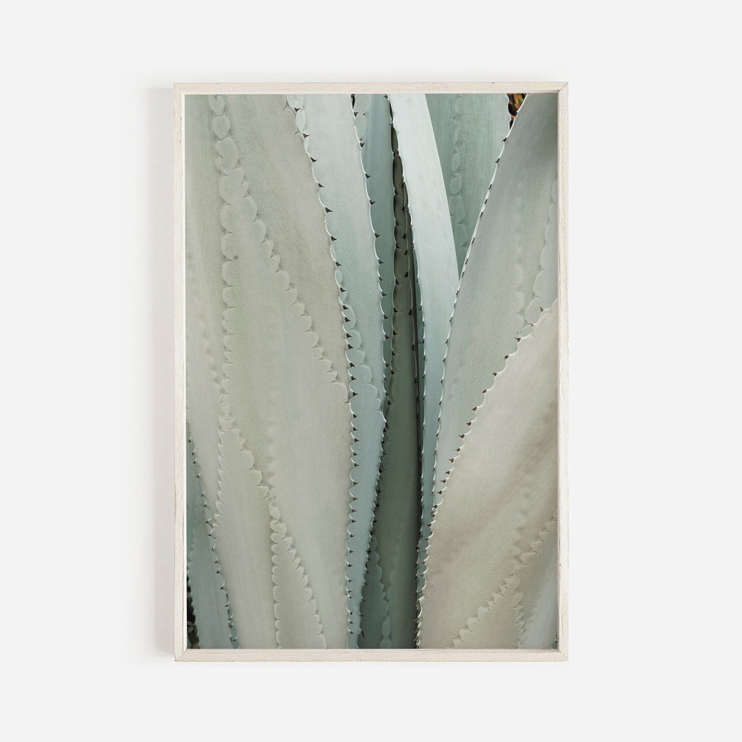 Green Agave Leaves Print, Neutral Home Decor, Green Leaf Poster, Barbed ...