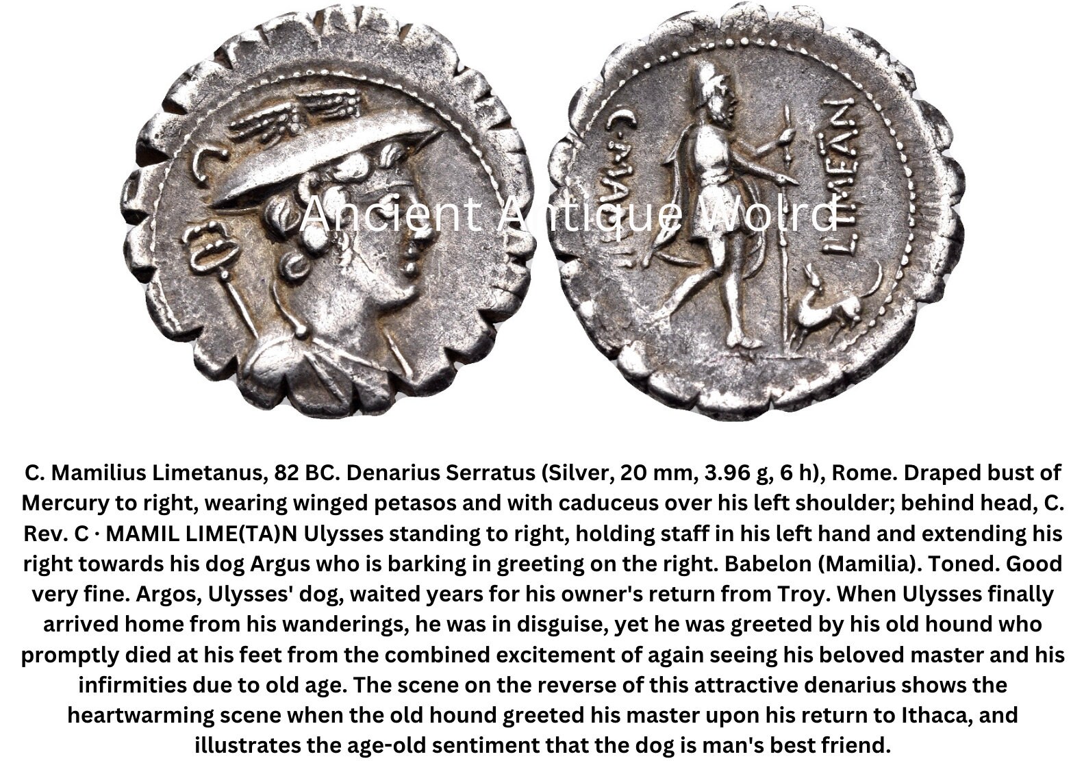 Ancient Coins Explained , Excelent Quality, Digital Product, Coin ...