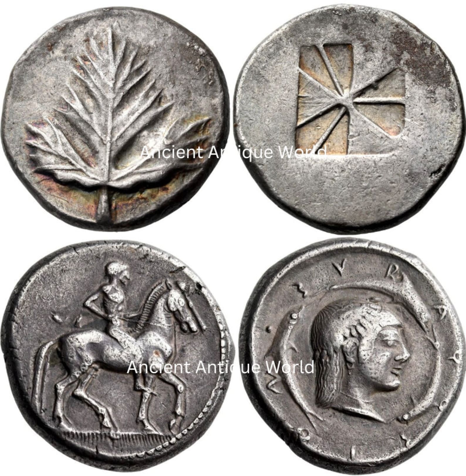 Ancient Greek Coins, 178 Authentic Ancient Greek Silver Coins, Excelent ...