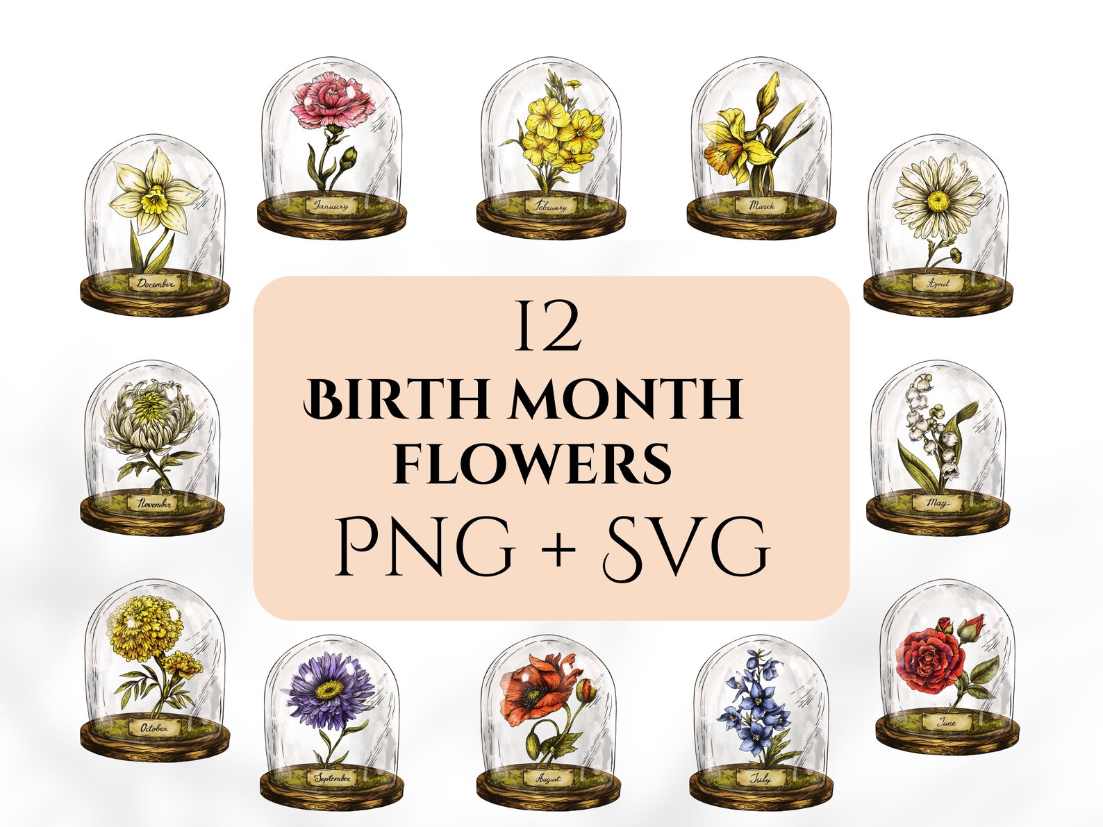 Birth Flower Svg.birth Flower Clipart.birth Month Flower Svg.birth ...