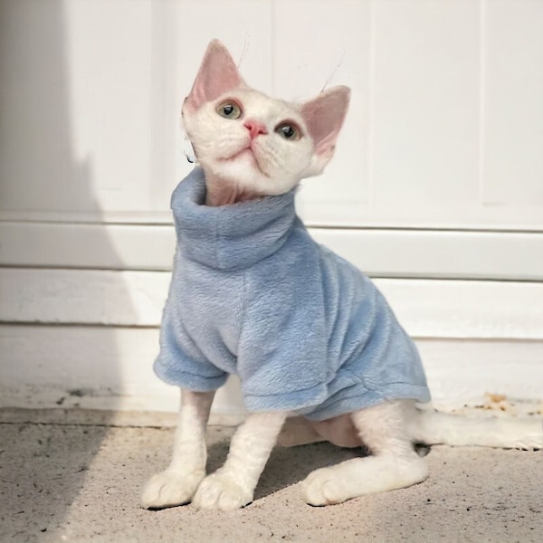 Sphynx Cat Clothes - Etsy