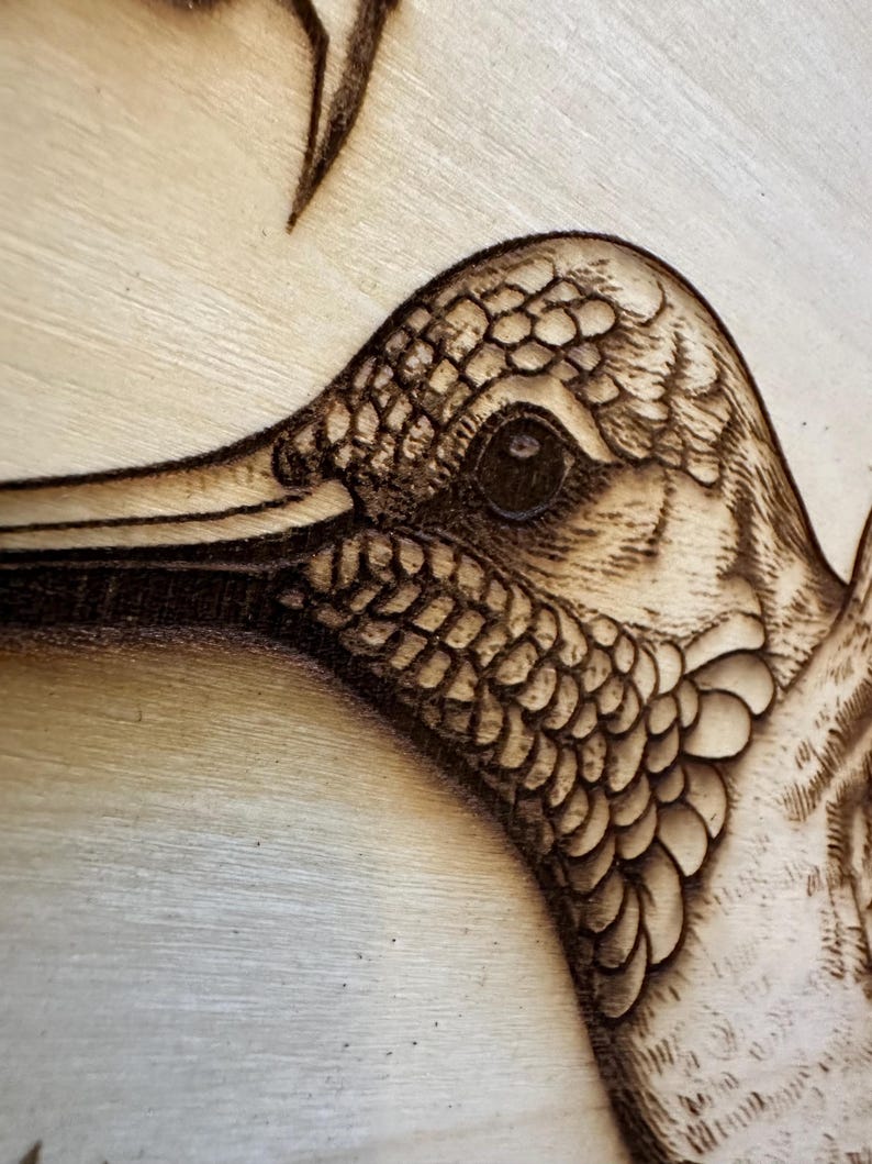 Round Humming Bird Wall Hanging - Etsy