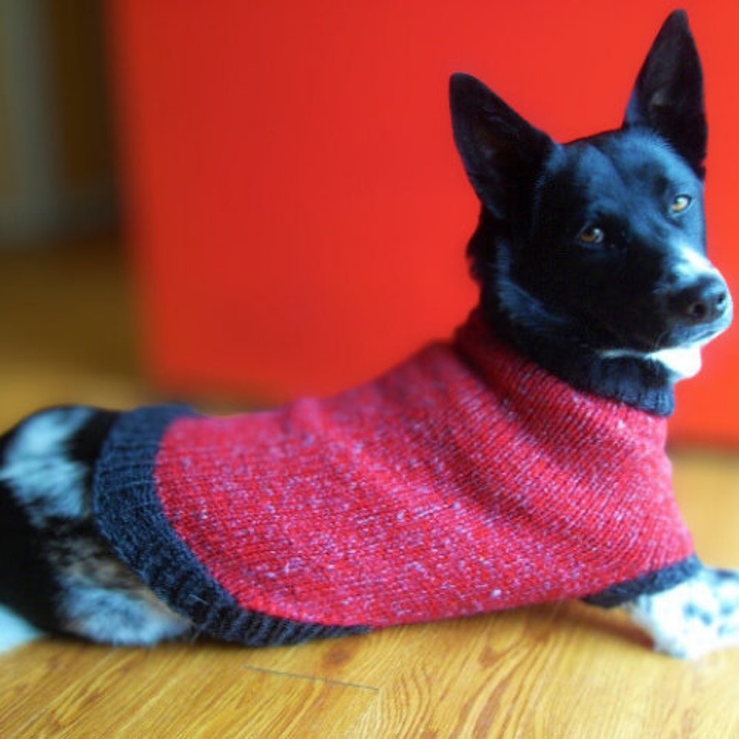 Knit Dog & Cat Sweater Pattern Generator – Any Size (PDF Pattern) - Etsy