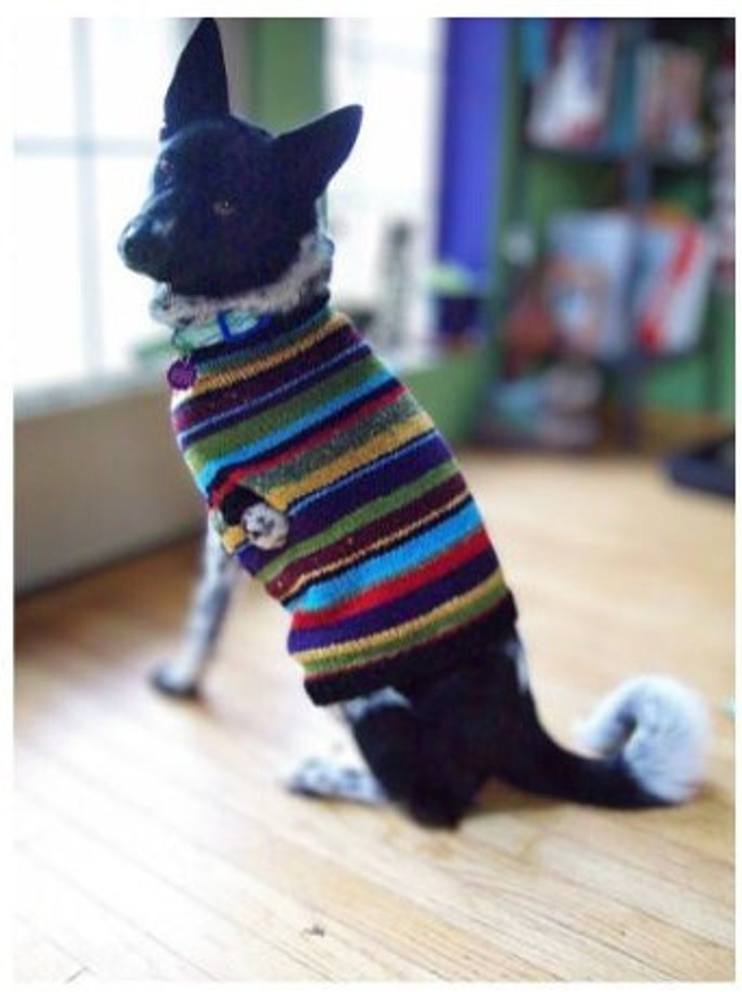 Knitting Pattern - Stashbuster Dog Pet Sweater Knit Pattern - Simple ...