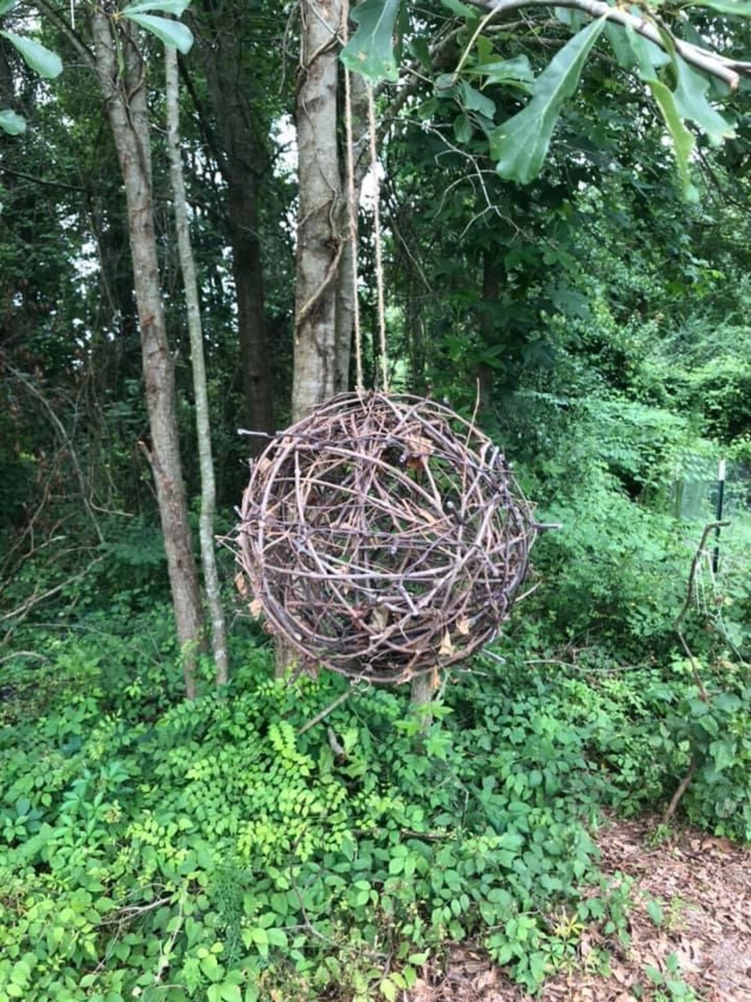 Lighted Grapevine Ball - Etsy