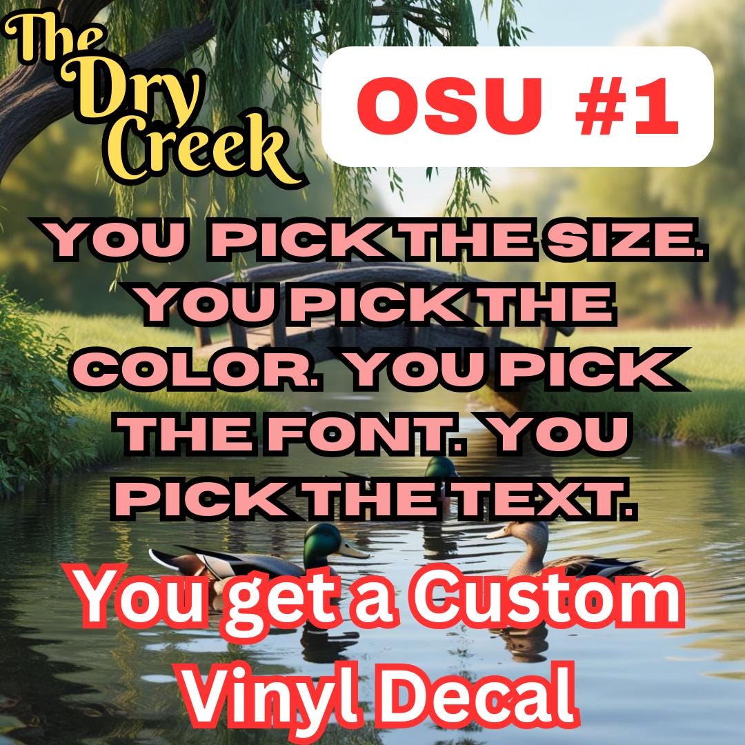 Personalized Custom Text Vinyl Lettering Decal - Choose Color, Font ...