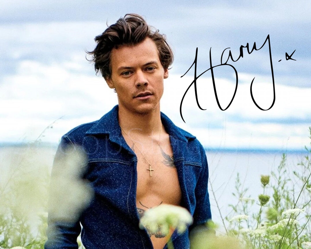 Harry Styles Signed 8x10 Glossy Photo Autograph RP Poster Print ...