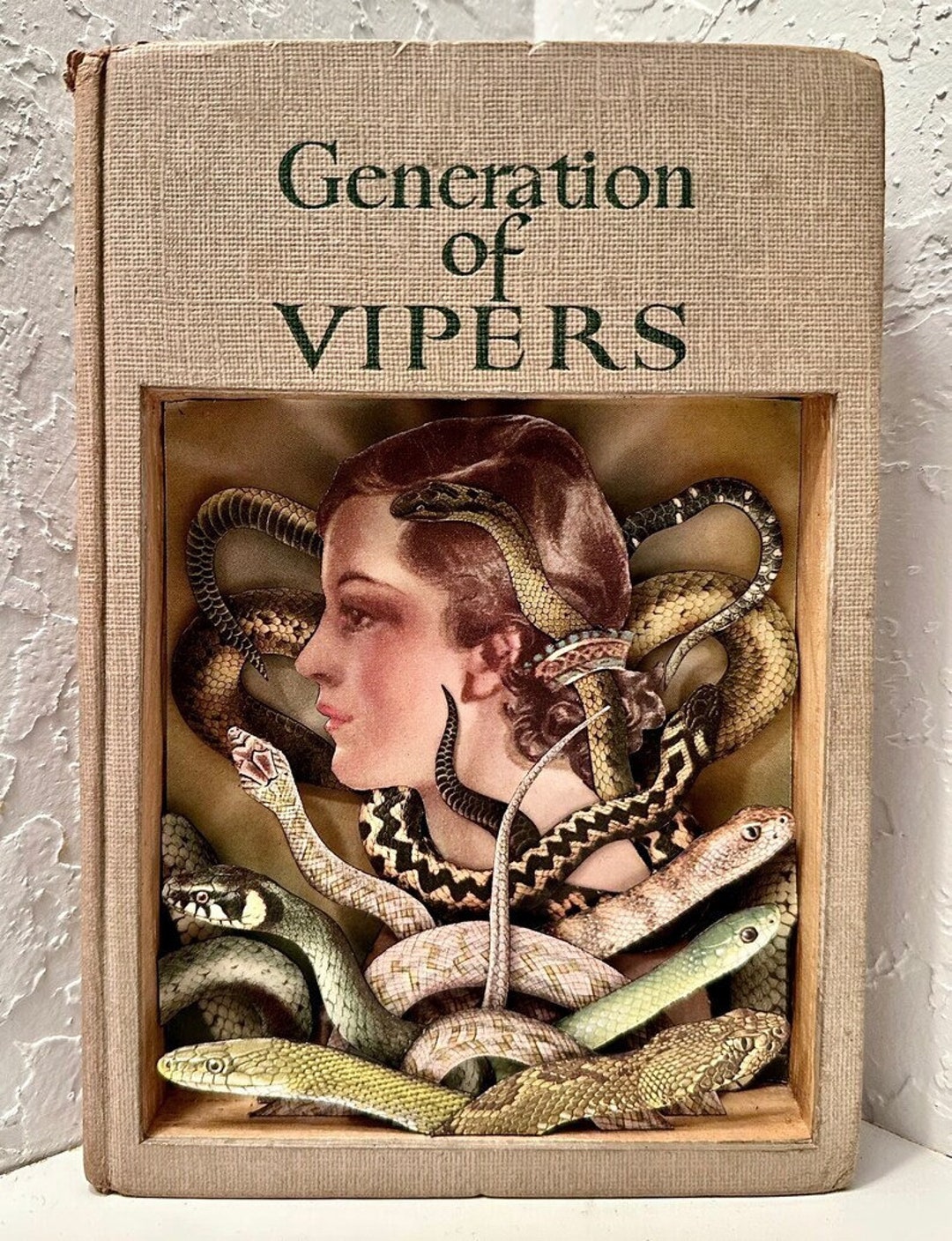 Altered Book Collage, generation of Vipers - Etsy