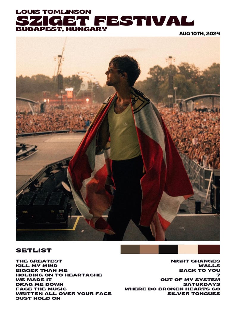 Louis Tomlinson - Sziget Festival - Etsy