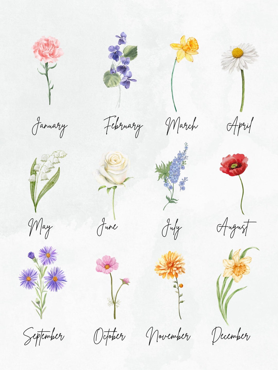 Birth Flower Poster - Etsy