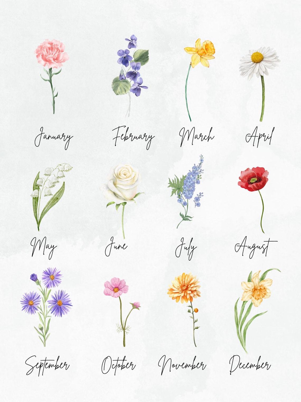 Birth Flower Poster - Etsy
