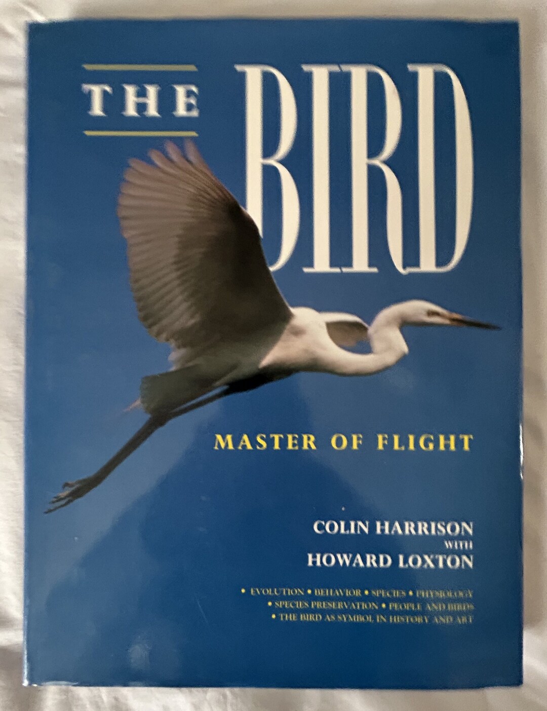 The Bird - Master of Flight Display Book - Etsy