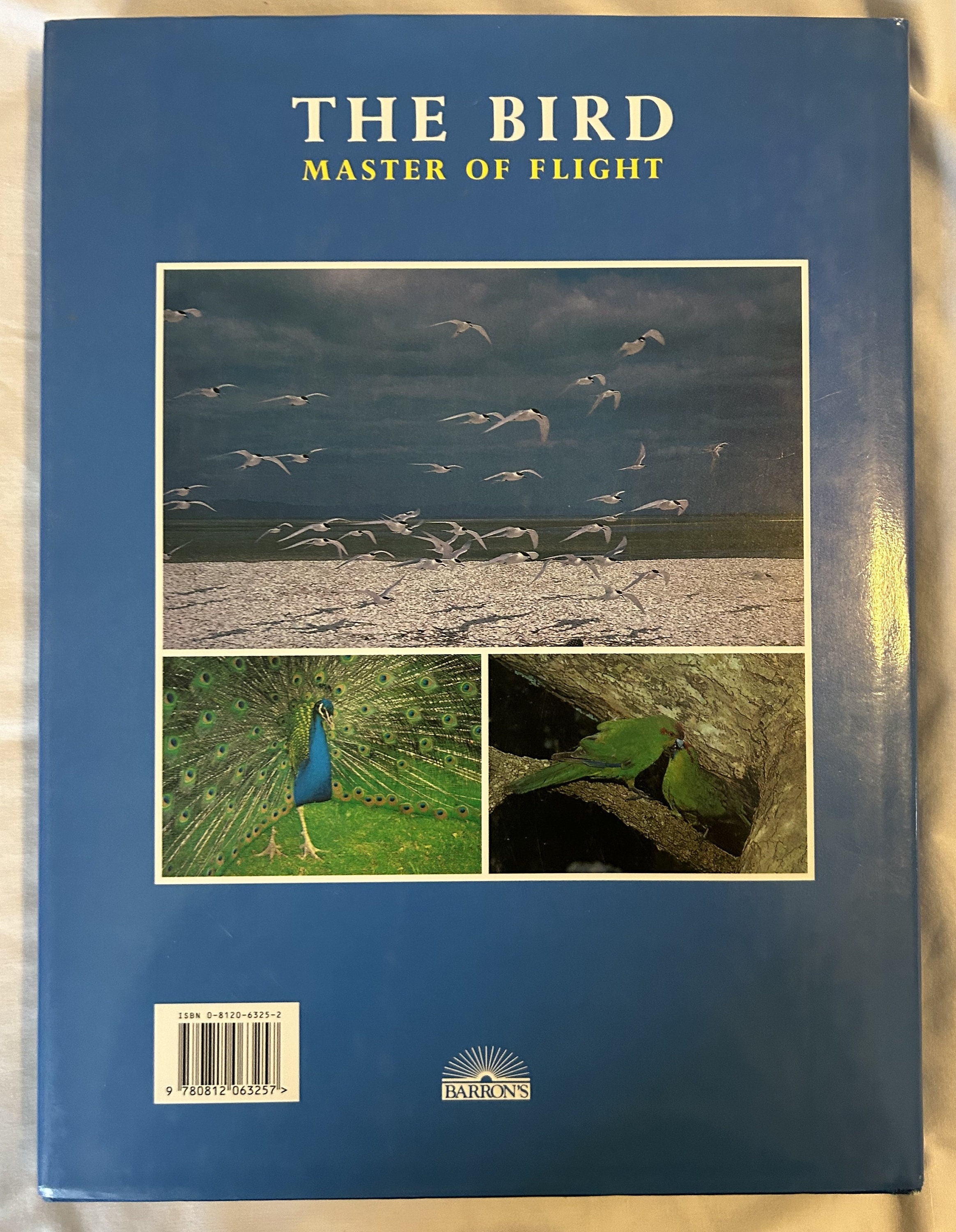 The Bird - Master of Flight Display Book - Etsy