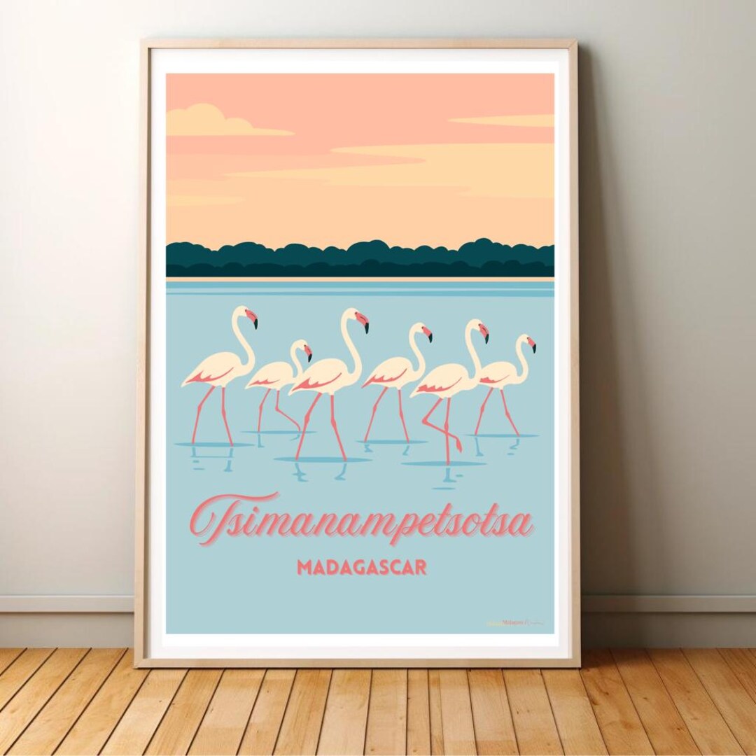 Tsimanampetsotsa National Park Poster - Flamingos and Salt Lake ...