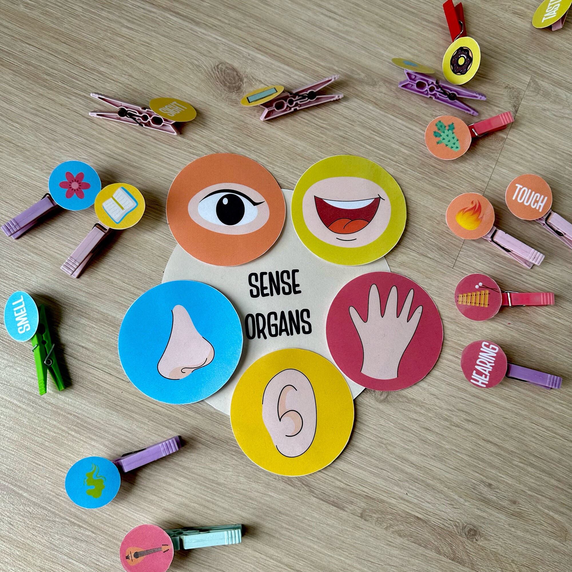 Five Senses Sorting Activity Printable, 5 Senses Sorting, Homeschool ...