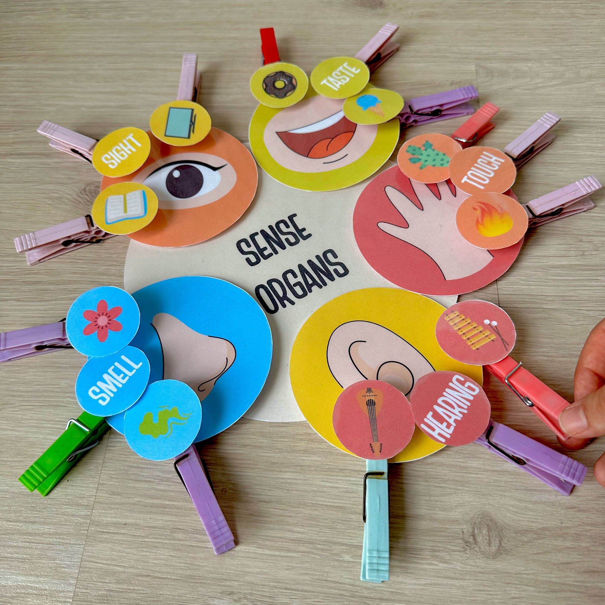 Five Senses Sorting Activity Printable, 5 Senses Sorting, Homeschool ...