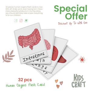 Human Organs Flashcards and Body Facts, Homeschool Montessori Materials ...