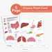 Human Organs Flashcards and Body Facts, Homeschool Montessori Materials ...