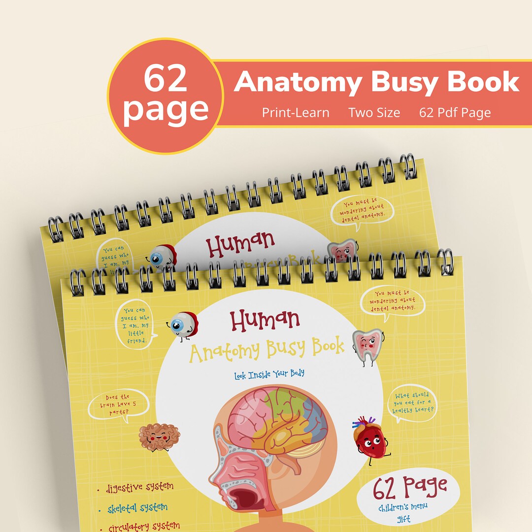 Preschool Busy Book, Human Anatomy, Montessori Material, Busy Binder ...