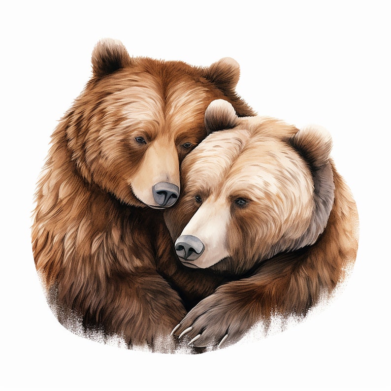 Two Bears PNG, Cuddle Bears Clip Art, 20 High-quality Pngs | Wildlife ...