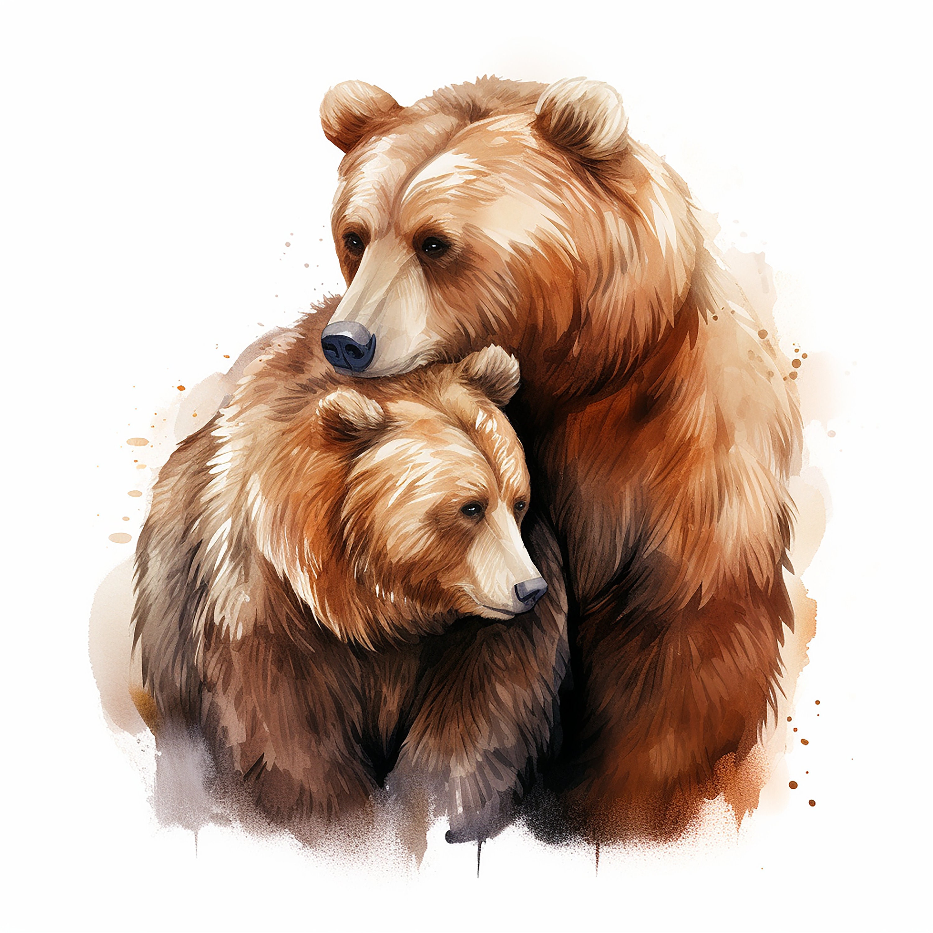 Two Bears PNG, Cuddle Bears Clip Art, 20 High-quality Pngs | Wildlife ...